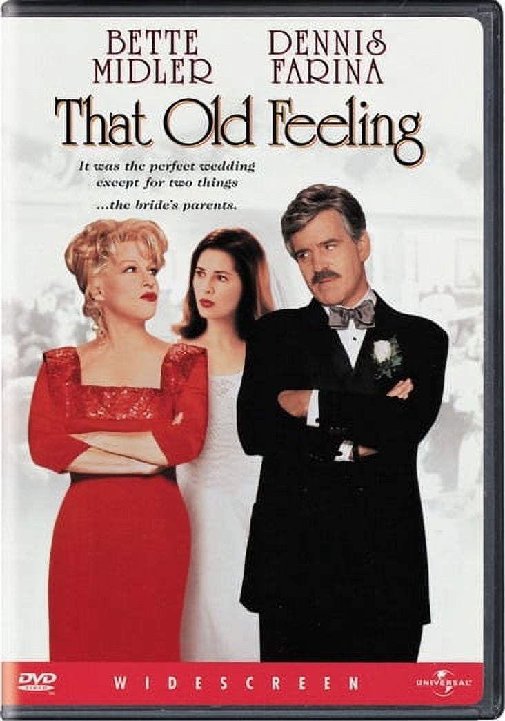 Pre-Owned That Old Feeling (Dvd) (Good) - Walmart.com
