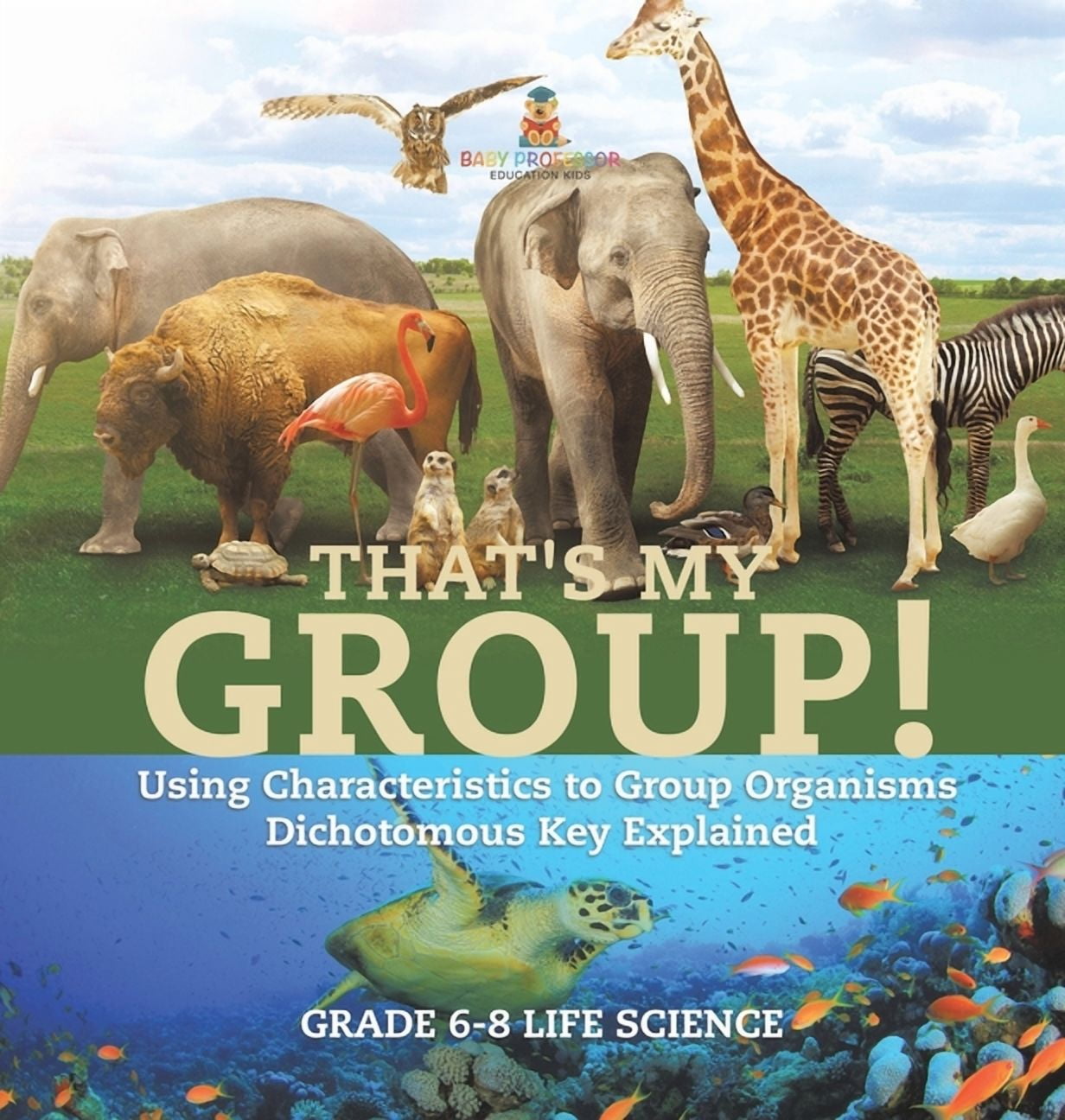 That's My Group! Using Characteristics to Group Organisms Dichotomous ...