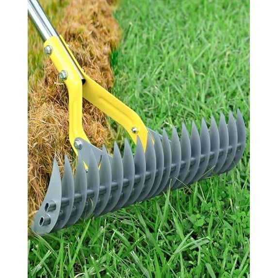 Thatch Rake,Dual-Sided Lawn Dethatcher with Stainless Steel Tines ...