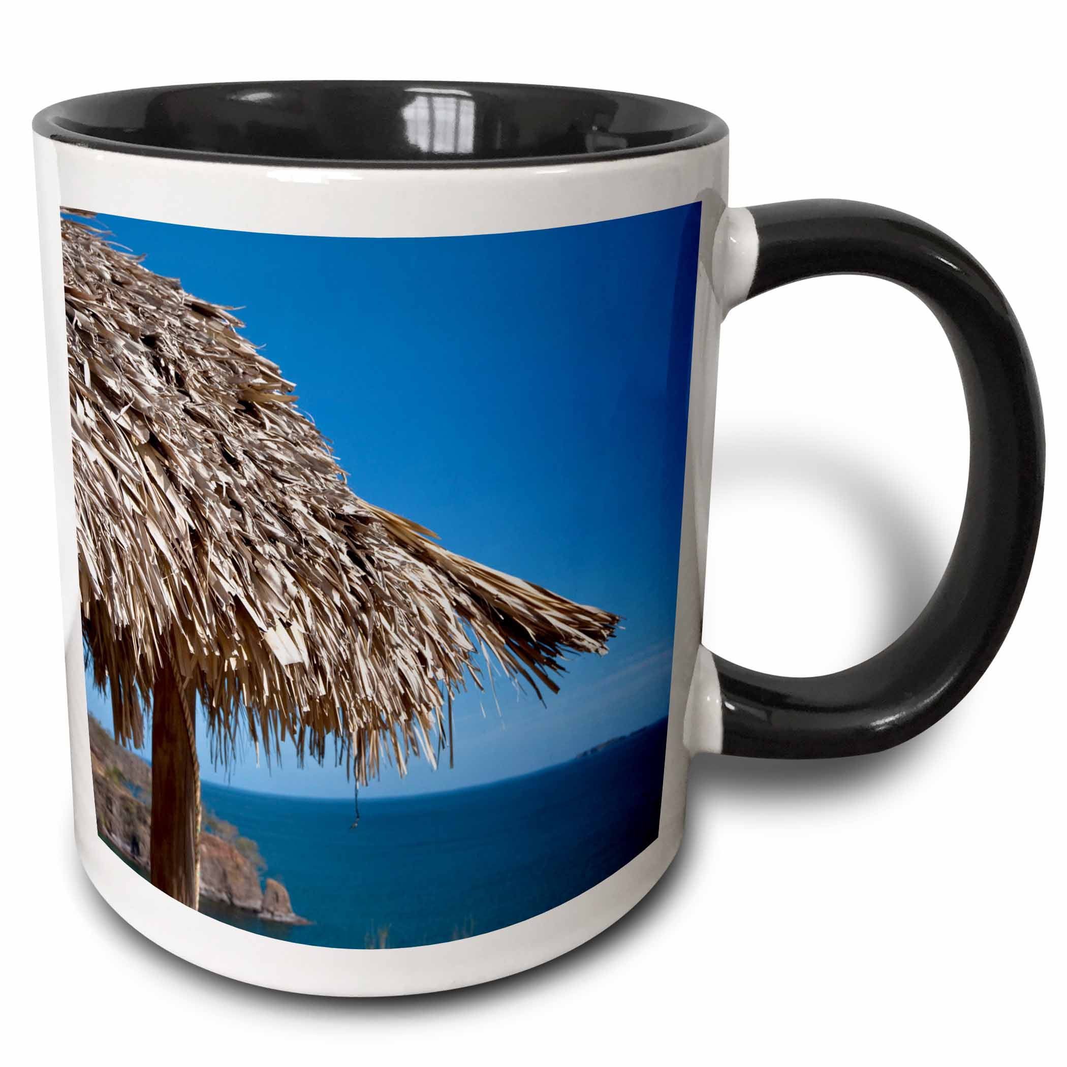 3drose, Thatch-roof Hut, Guanacaste Gold Coast, Costa Rica - Sa22 ...