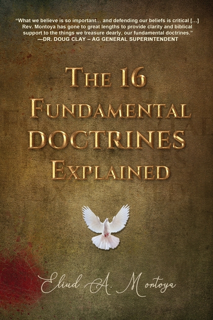 The 16 Fundamental Doctrines Explained, (Paperback) - Walmart.com