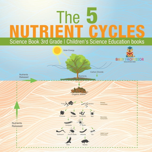 The 5 Nutrient Cycles - Science Book 3rd Grade Children's Science ...