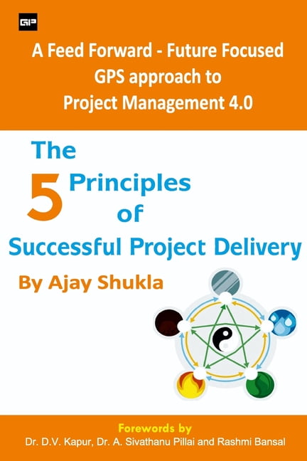 The 5 Principles of Successful Project Delivery, (Paperback) - Walmart.com