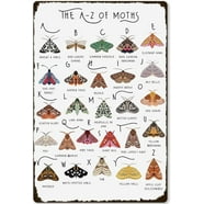 2 Switch Plate Tags ATTIC Name Signs Labels Cast Brass Traditional ...