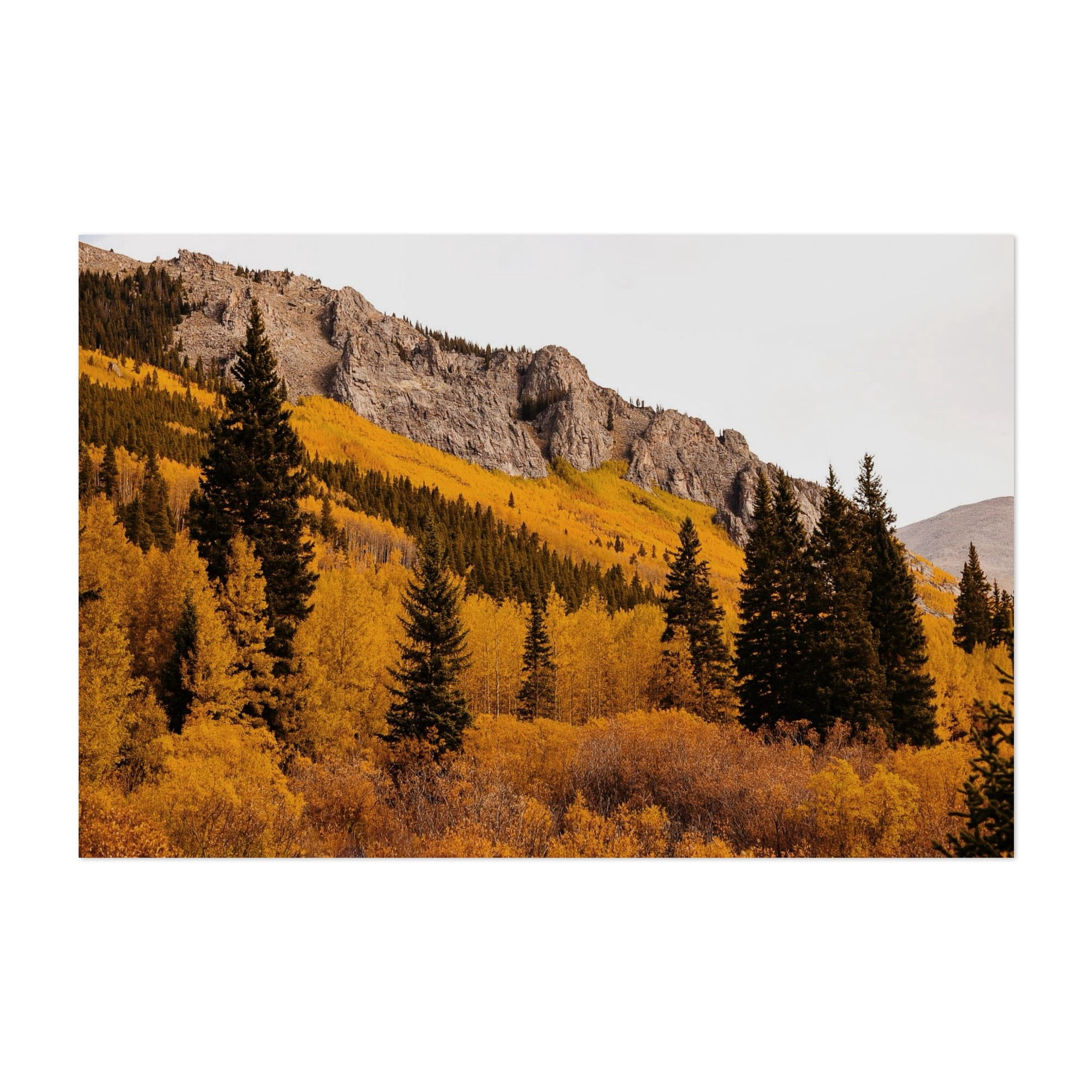 The Abyss Trail II - Grant Colorado Photography Autumn Mountain Nature ...