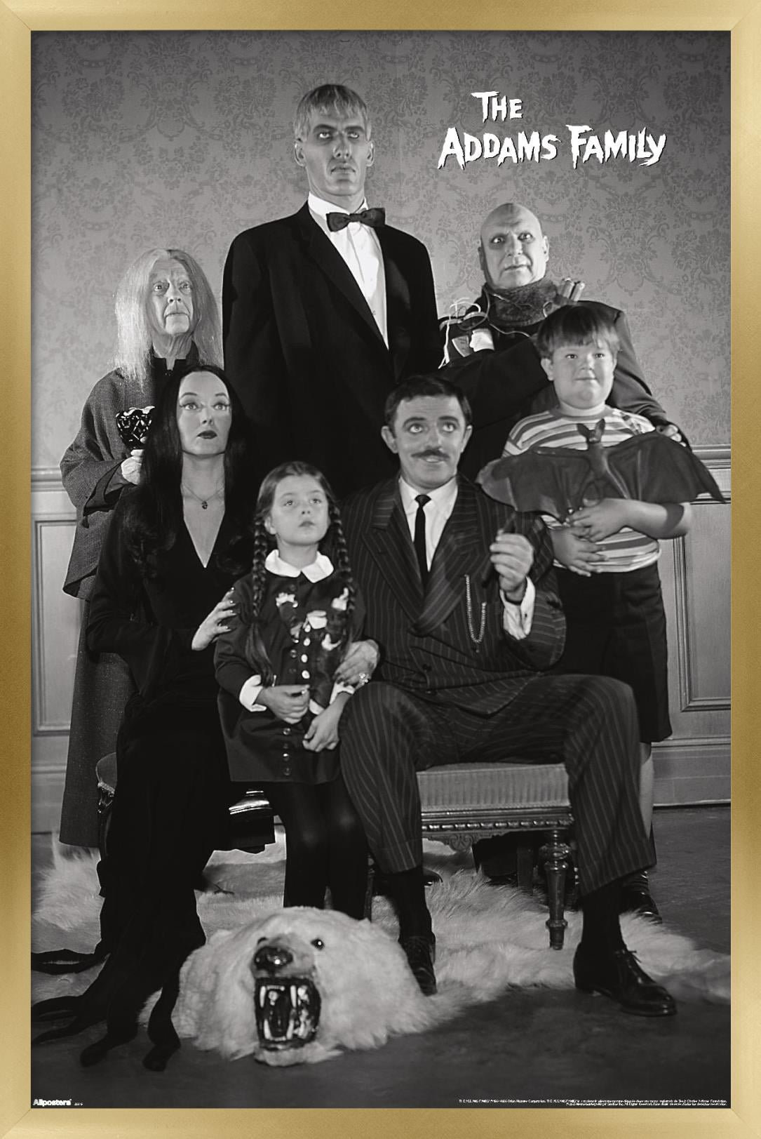 The Addams Family (1964) - Family Wall Poster, 14.725" x 22.375" Framed ...