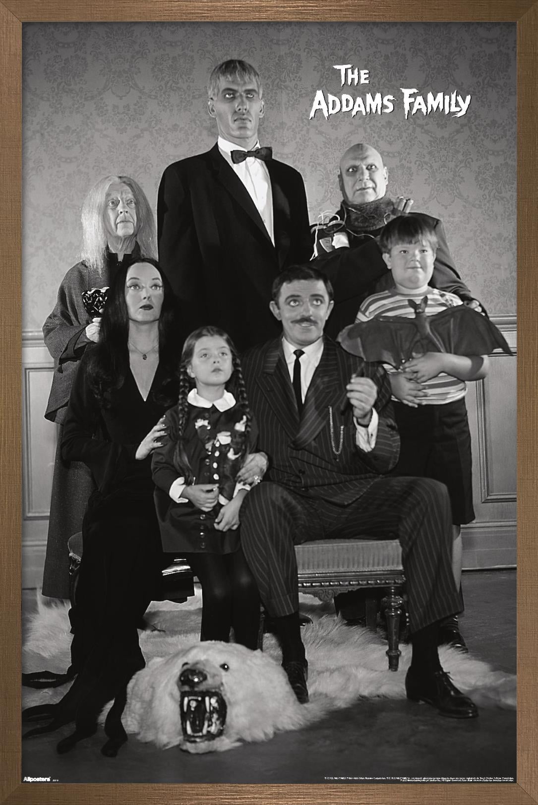 The Addams Family (1964) - Family Wall Poster, 22.375" x 34" Framed ...