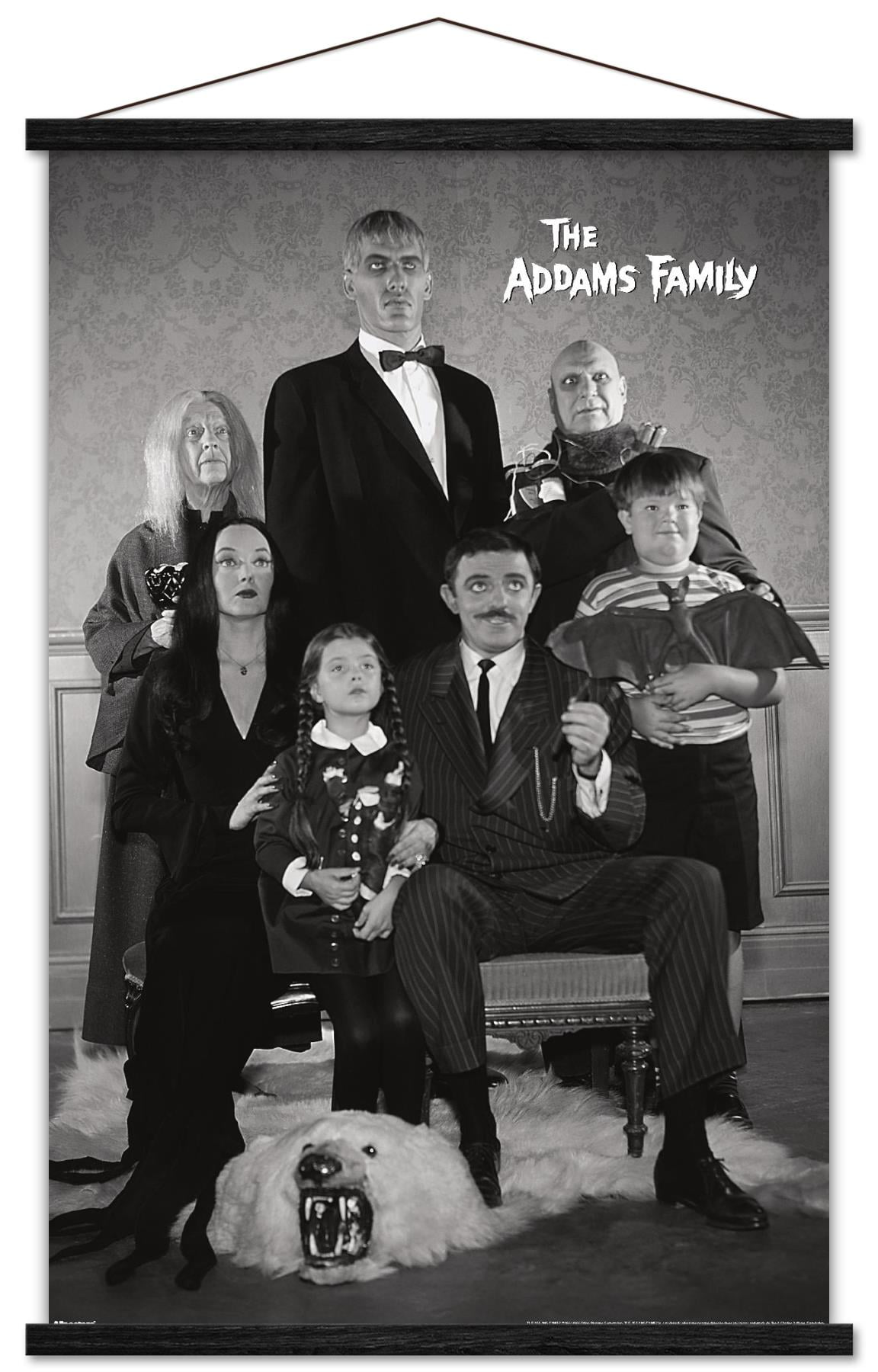 The Addams Family (1964) - Family Wall Poster with Magnetic Frame, 22. ...