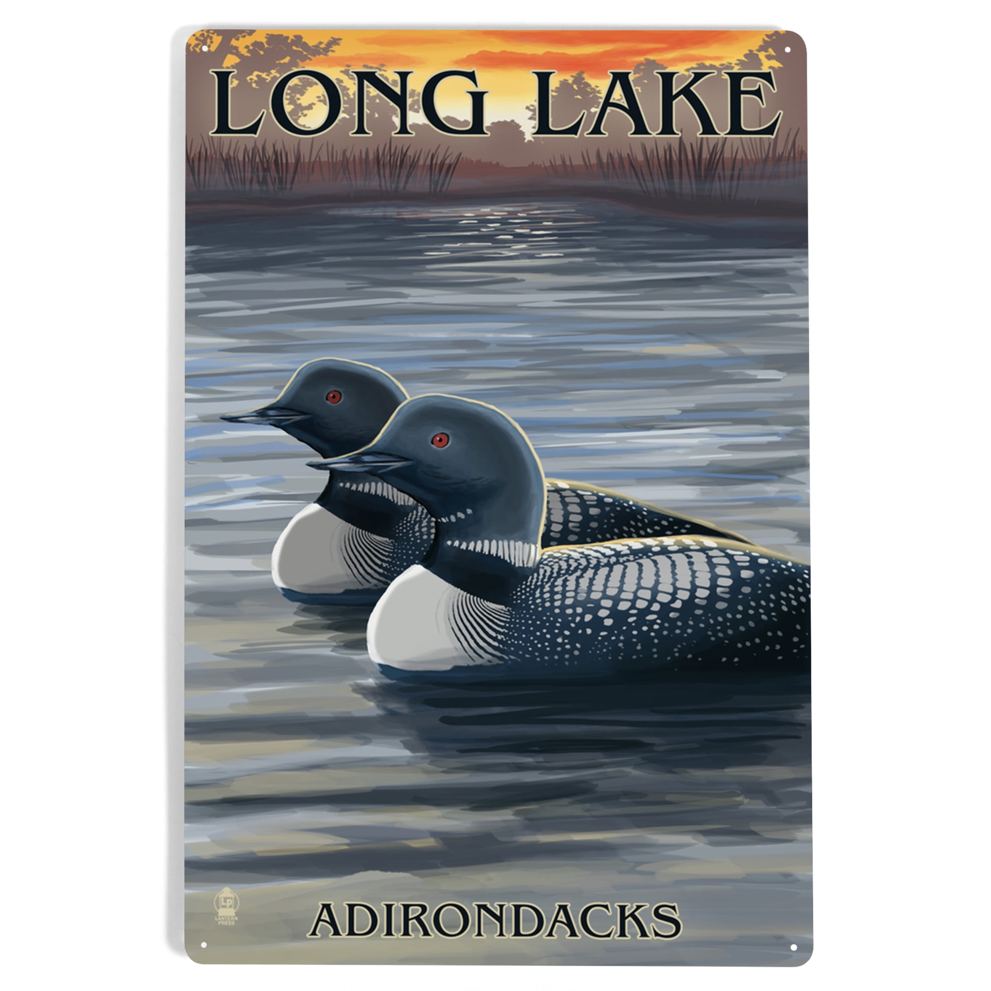 The Adirondacks, Long Lake, New York, Loons at Sunset (12x18 Aluminum ...
