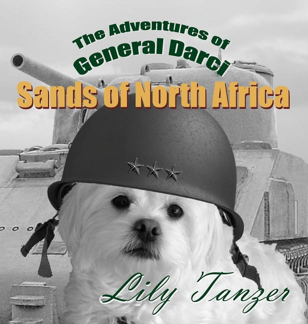 The Adventures of General Darci : Sands of North Africa: Sands of North ...