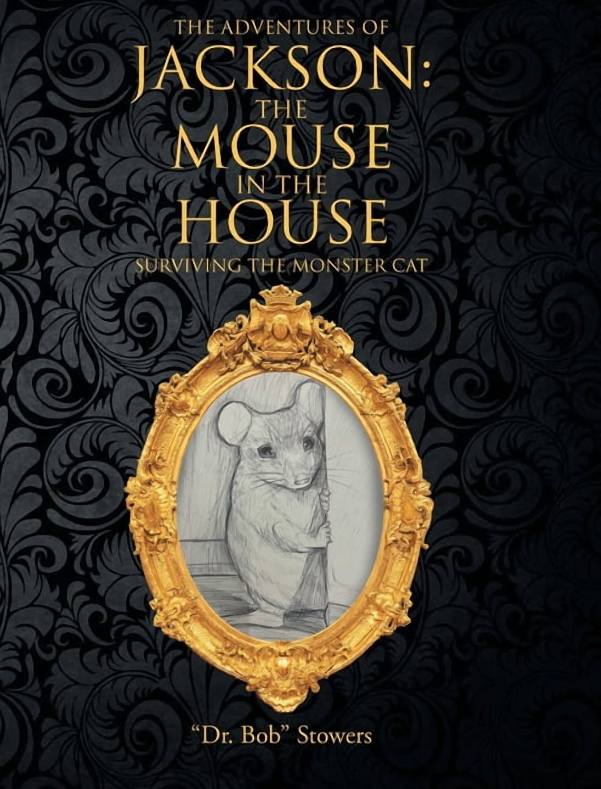 The Adventures of Jackson: The Mouse in the House: Surviving the ...