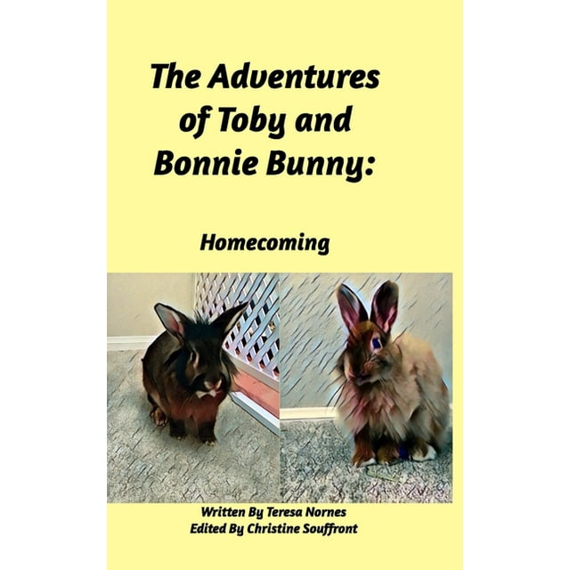 The Adventures of Toby and Bonnie Bunny (Paperback) - Walmart.com