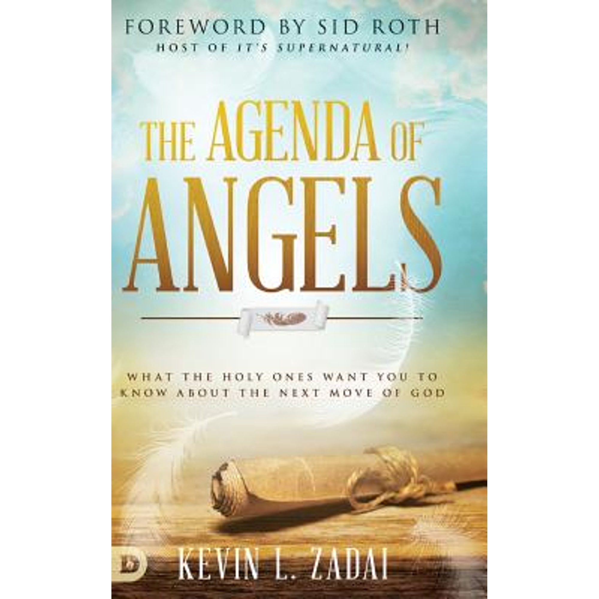 Pre-Owned The Agenda of Angels: What the Holy Ones Want You to Know ...
