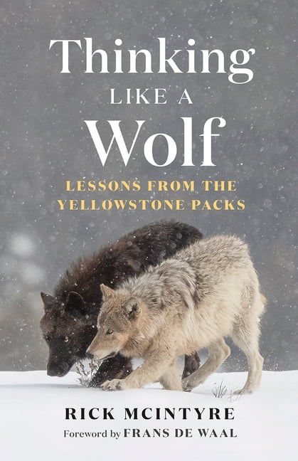 The Alpha Wolves of Yellowstone Thinking Like a Wolf: Lessons from the ...
