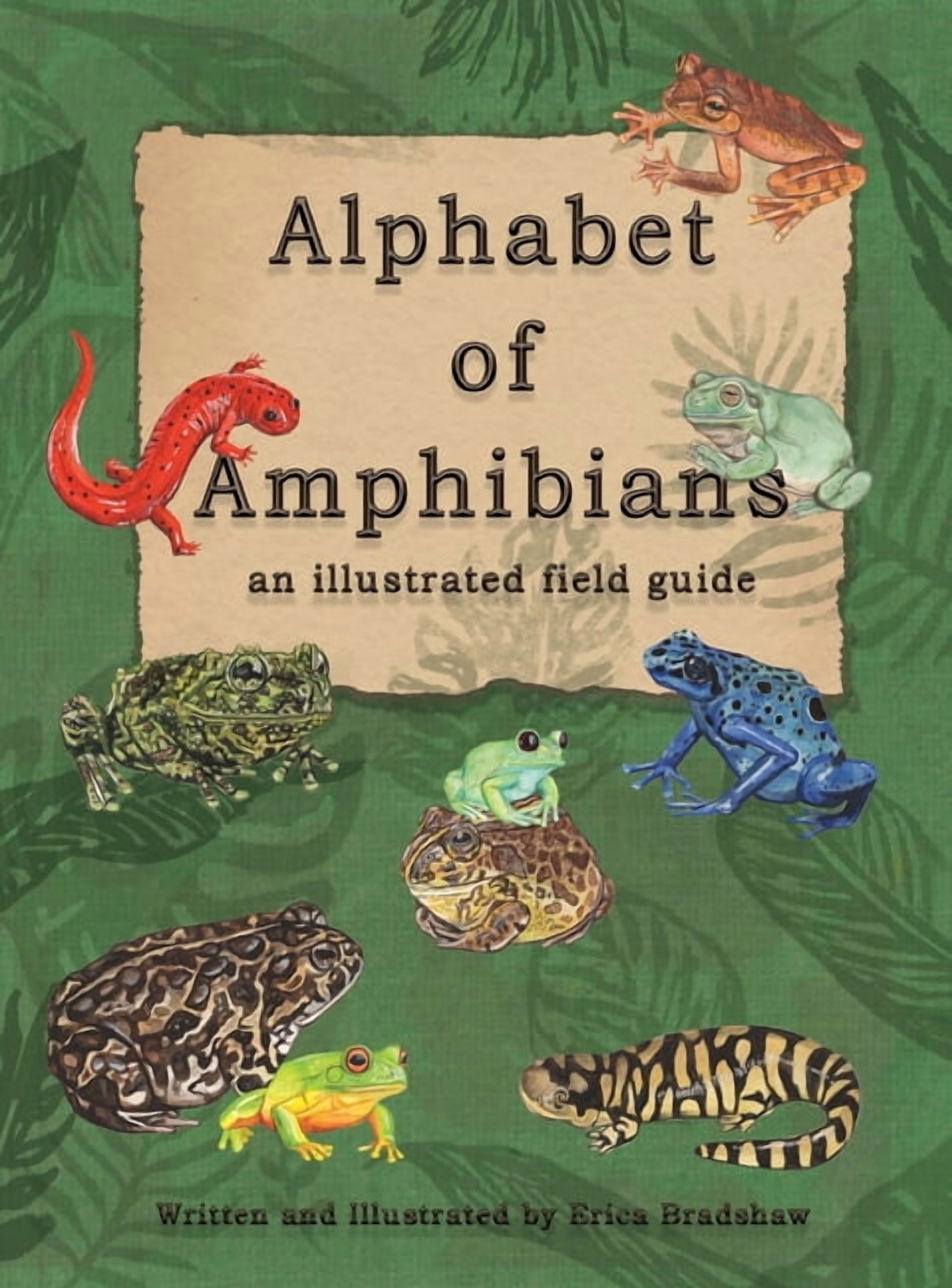 The Alphabet of Amphibians: an illustated field guide, (Hardcover ...