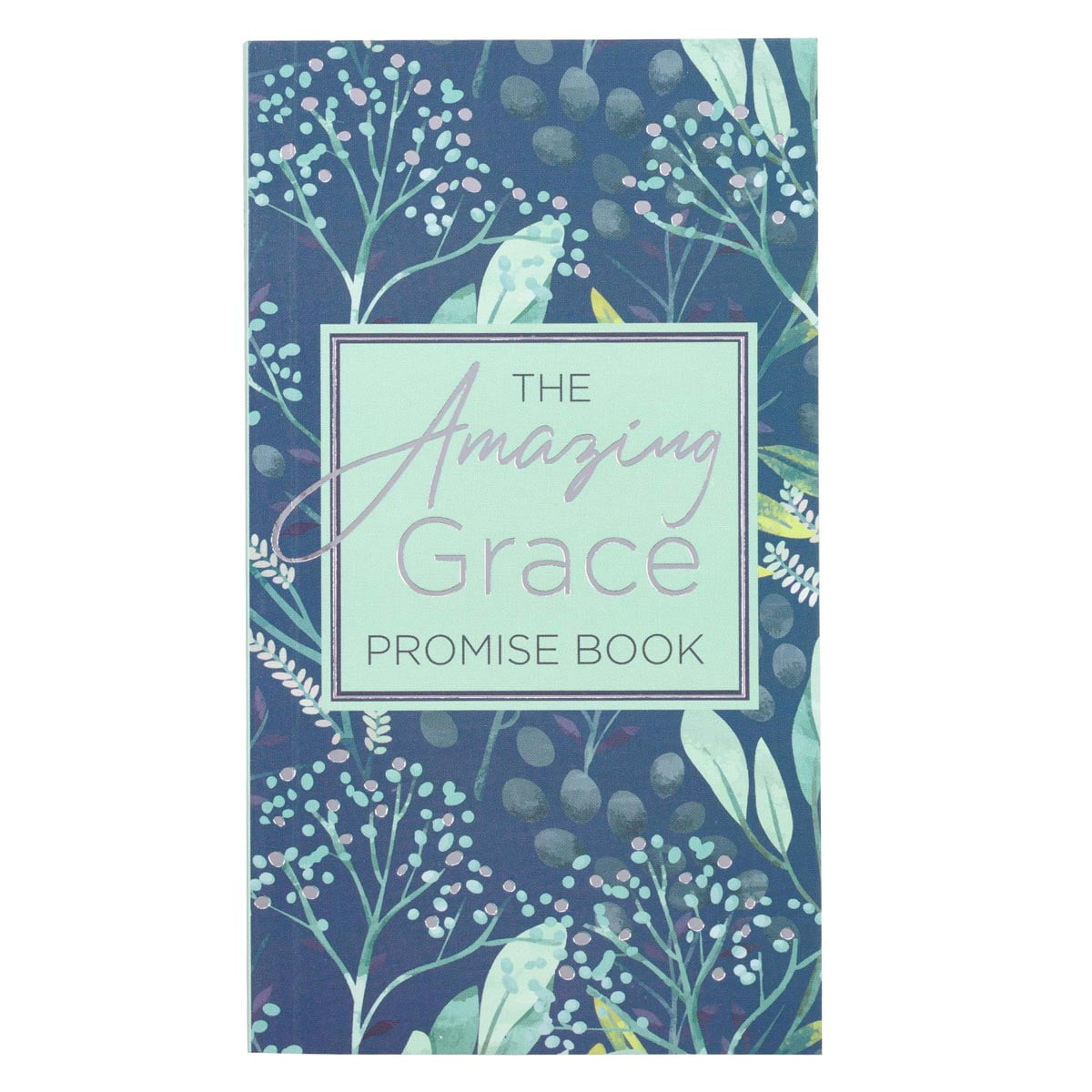 The Amazing Grace Promise Book in Green and Blue - Walmart.com