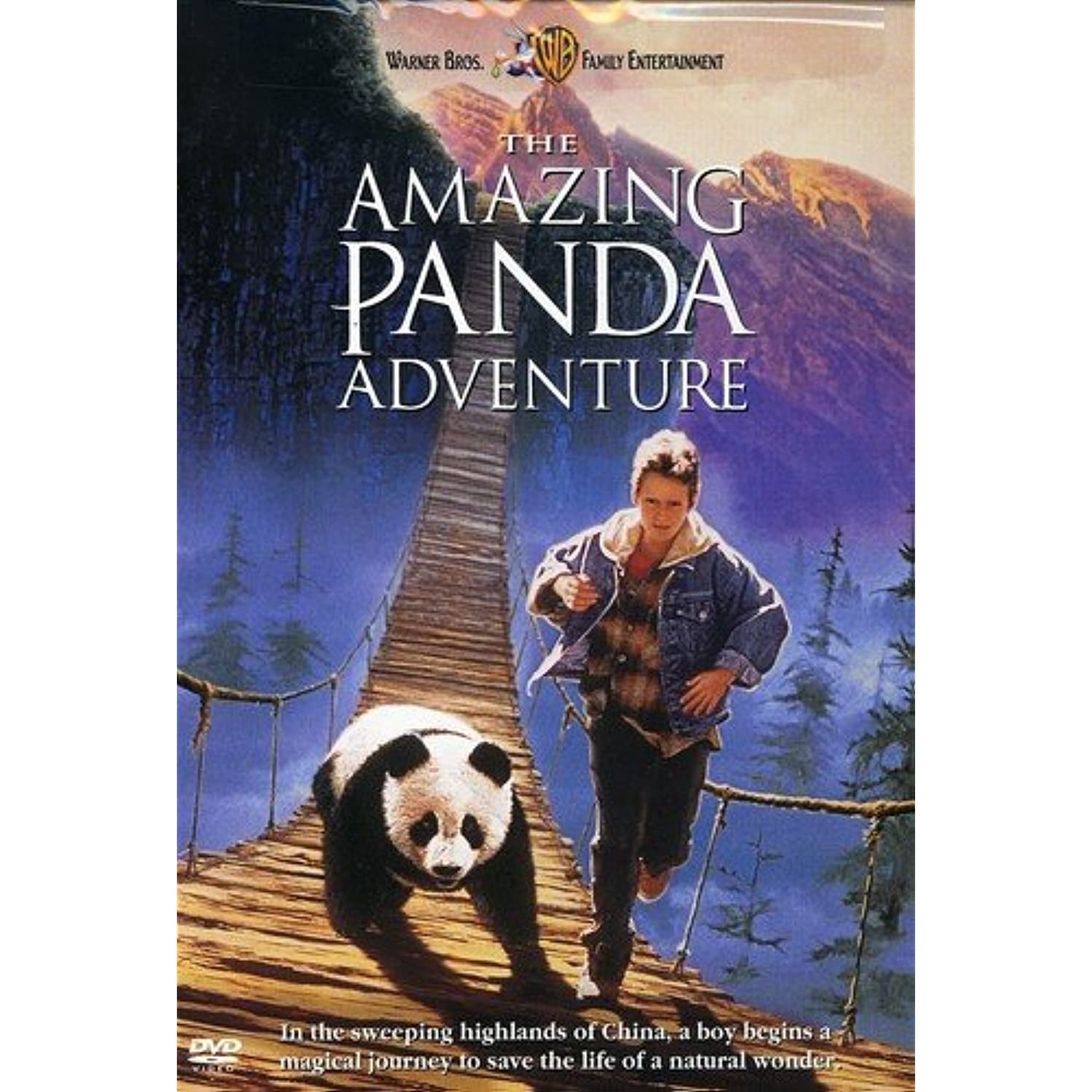 The Amazing Panda Adventure - Walmart.com