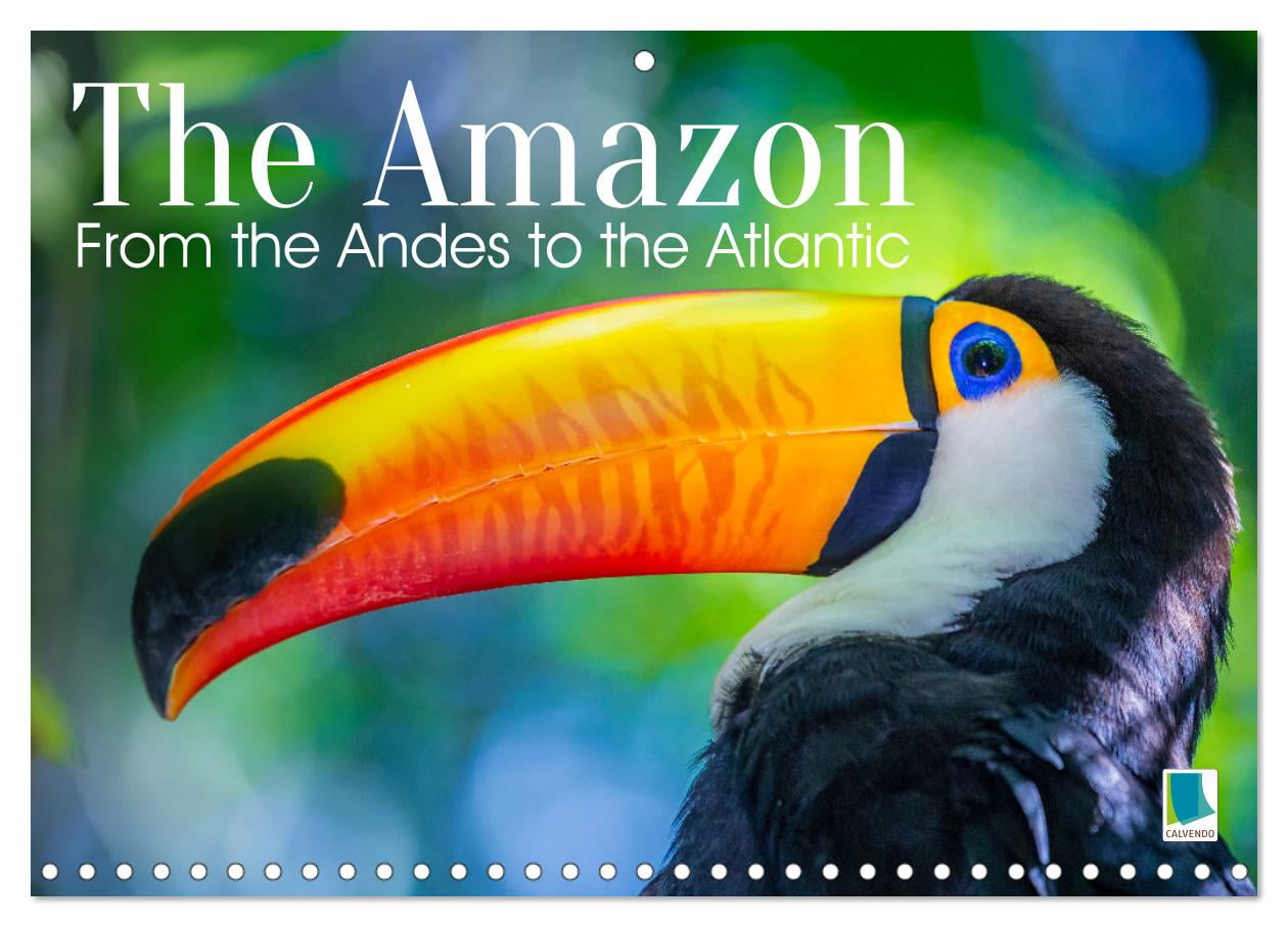 The Amazon: from the Andes to the Atlantic (Monthly Wall Calendar 2026 ...