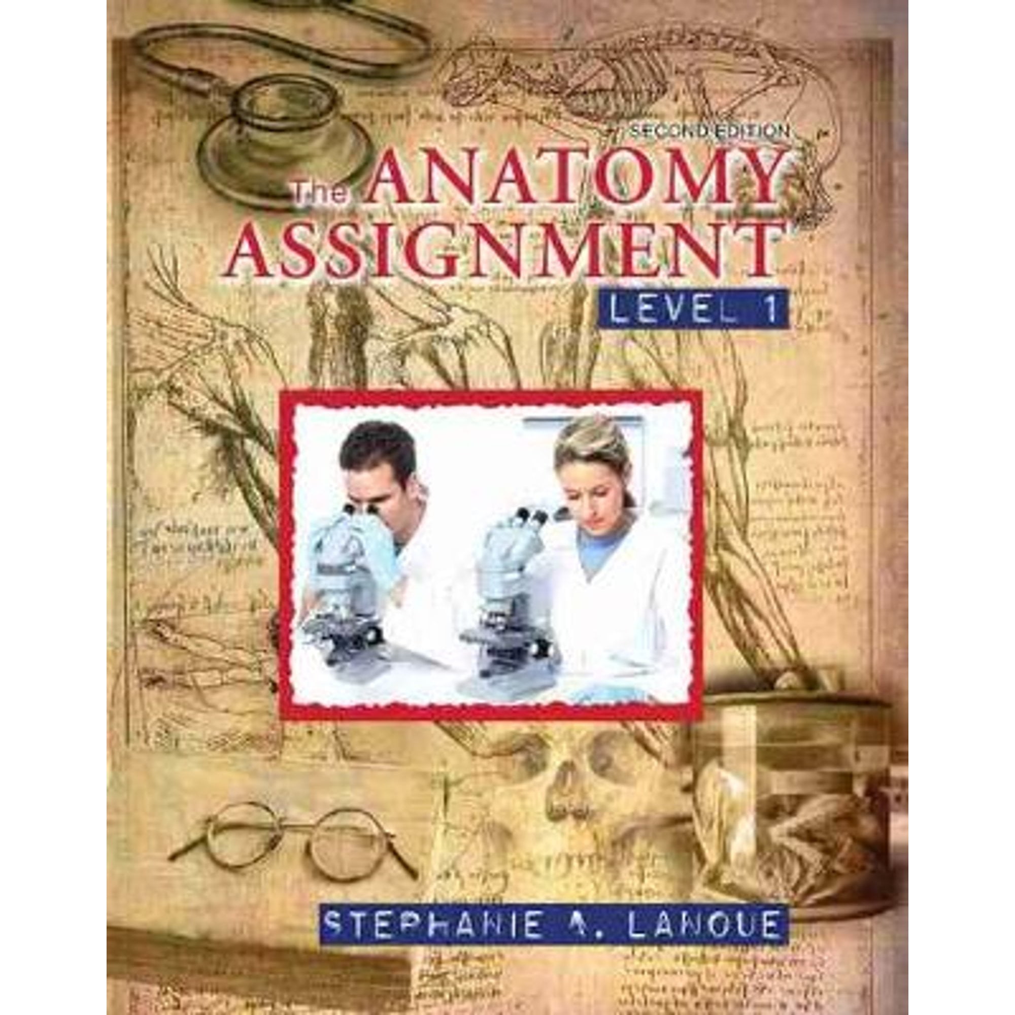 Pre-Owned The Anatomy Assignment: Level 1 (Paperback) by Stephanie A Lanoue - Walmart.com