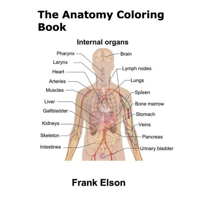 hand anatomy coloring pages