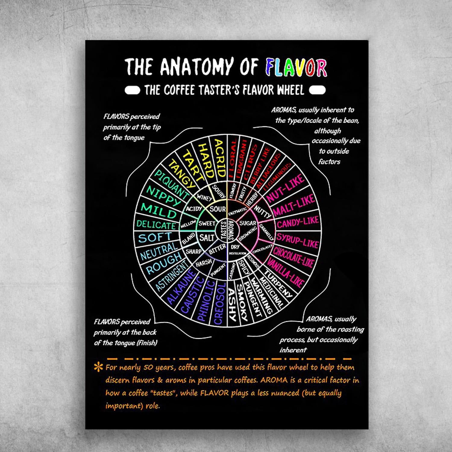 The Anatomy Of Flavor, The Coffee Taster's Flavor Wheel, Flavors ...