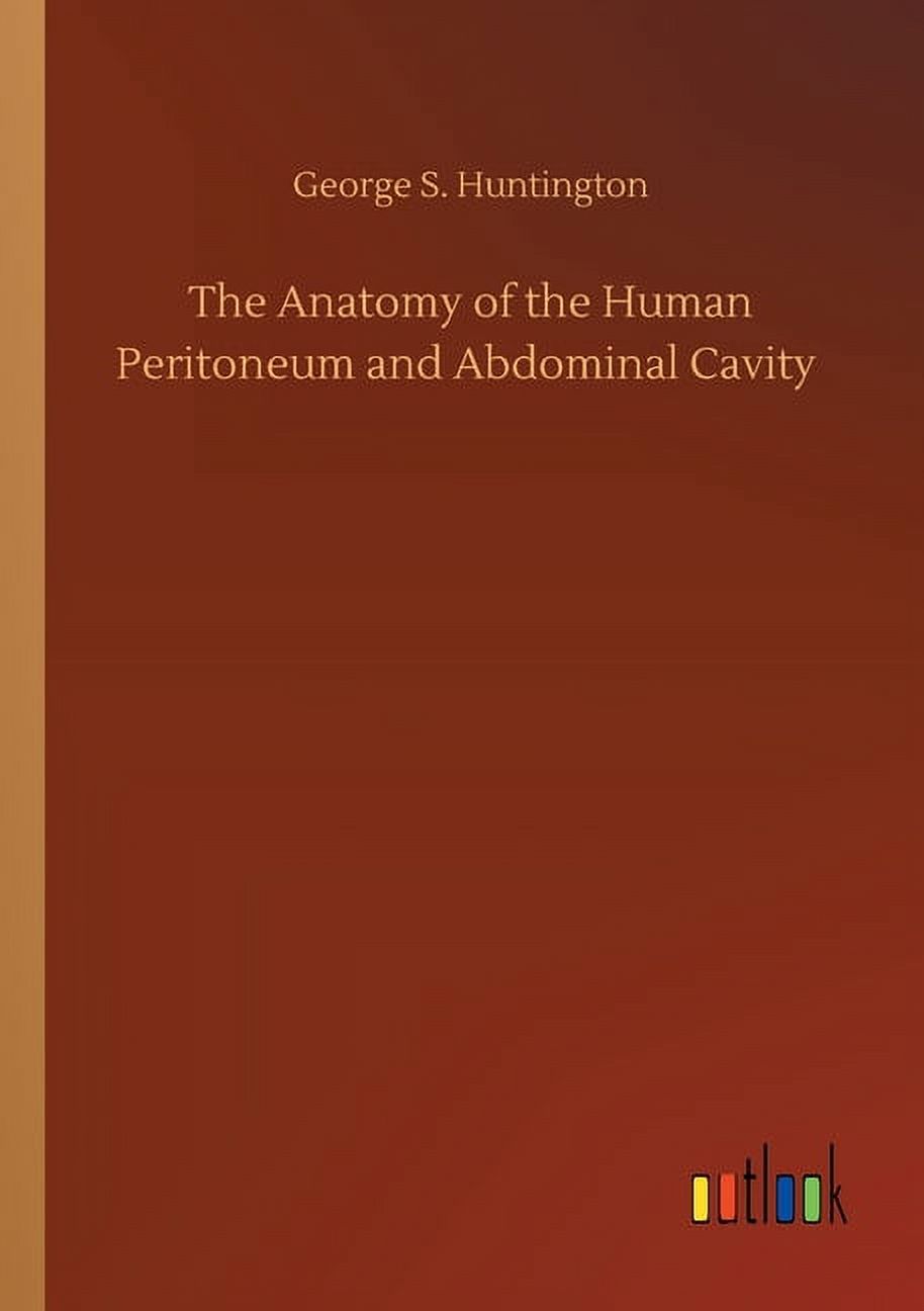 The Anatomy Of The Human Peritoneum And Abdominal Cavity ...