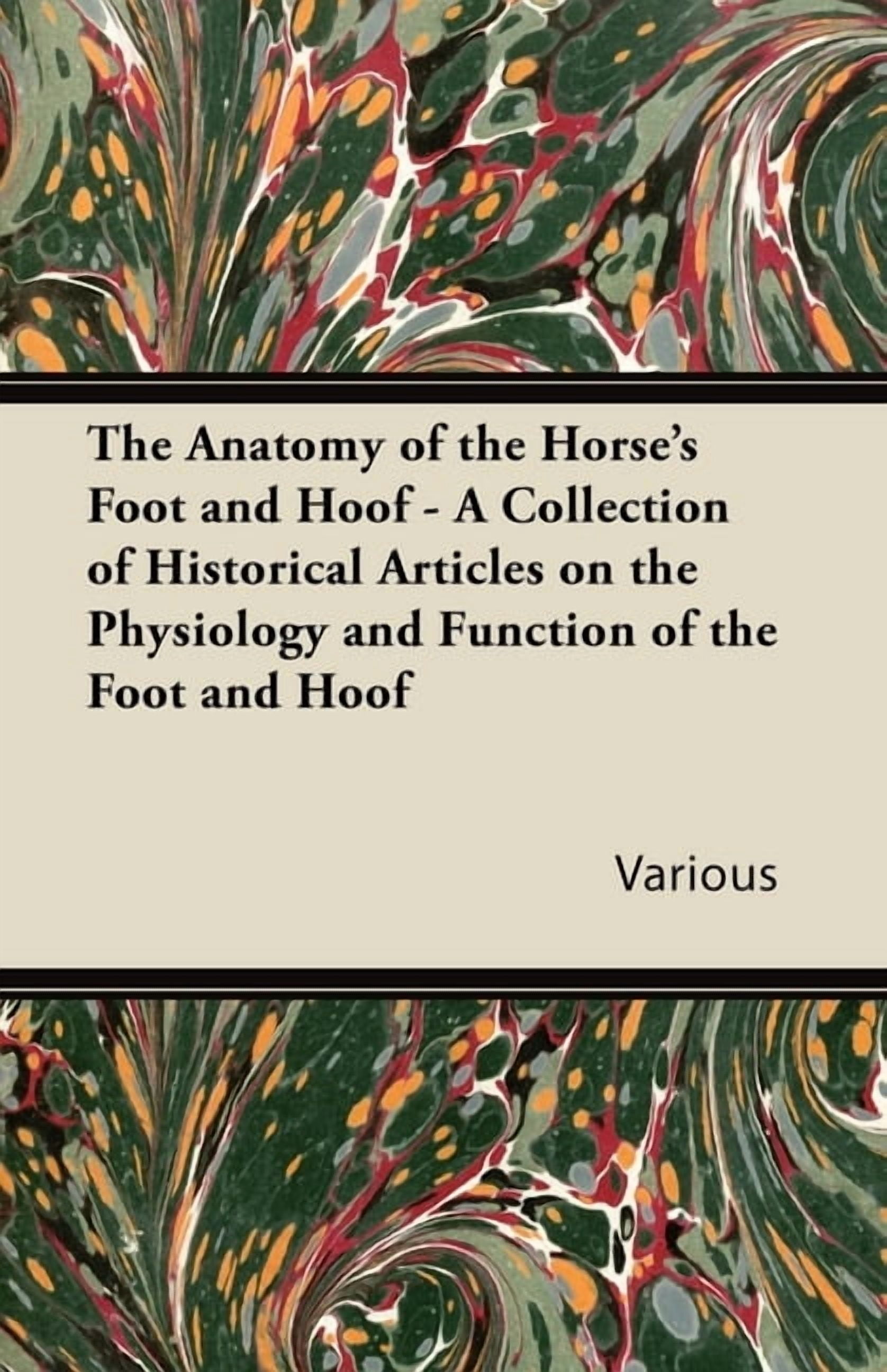 Horse Hooves Anatomy