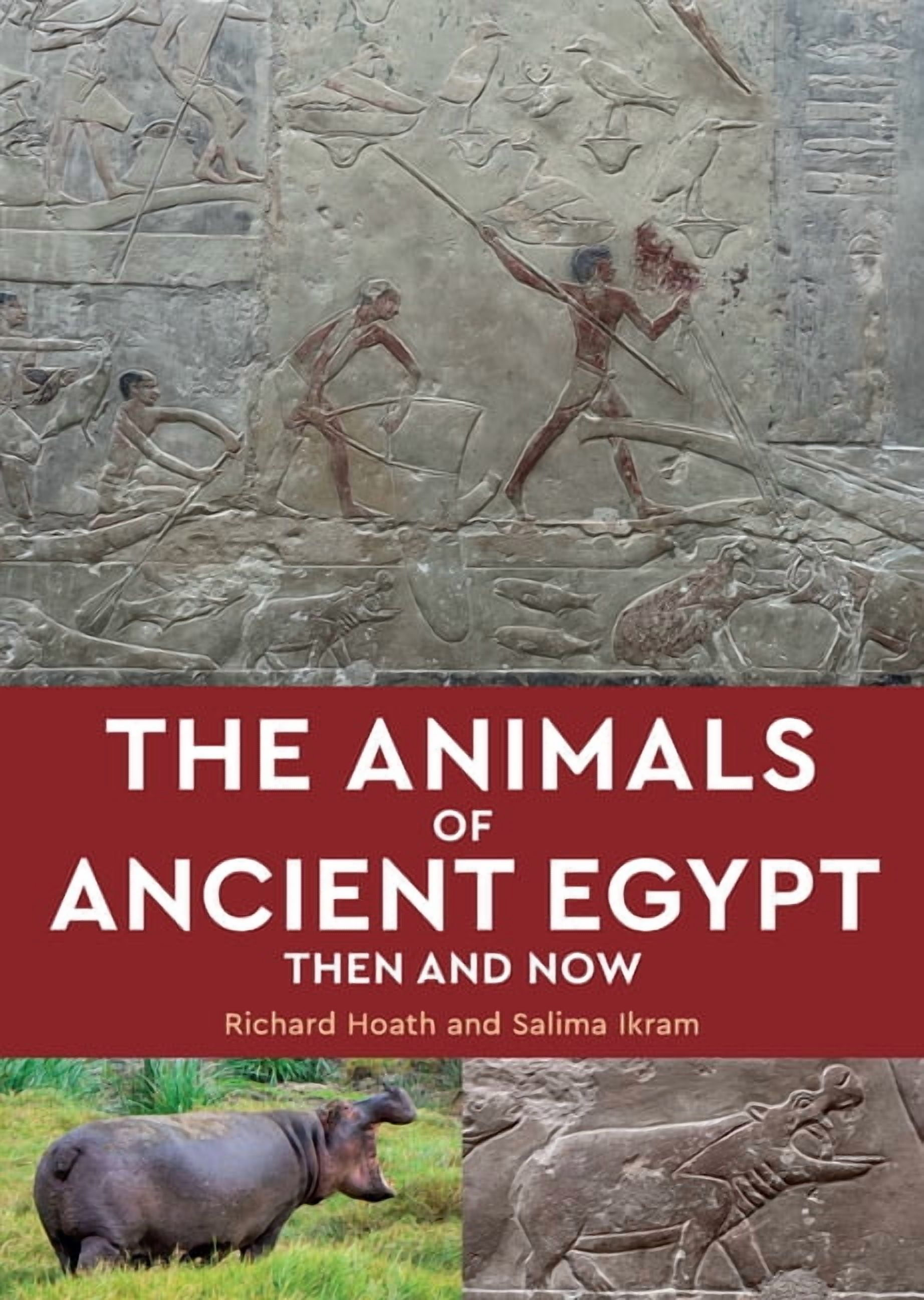 Egypt Animals