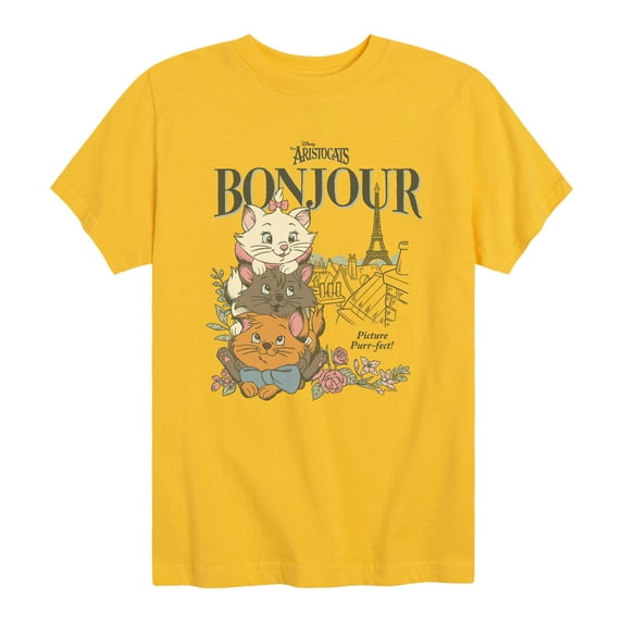 The Aristocats - Bonjour - Youth Boys Short Sleeve Graphic T-Shirt ...