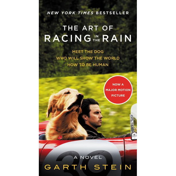 The Art of Racing in the Rain - Walmart.com