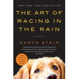 The Art of Racing in the Rain: A Novel (Paperback) - Walmart.com