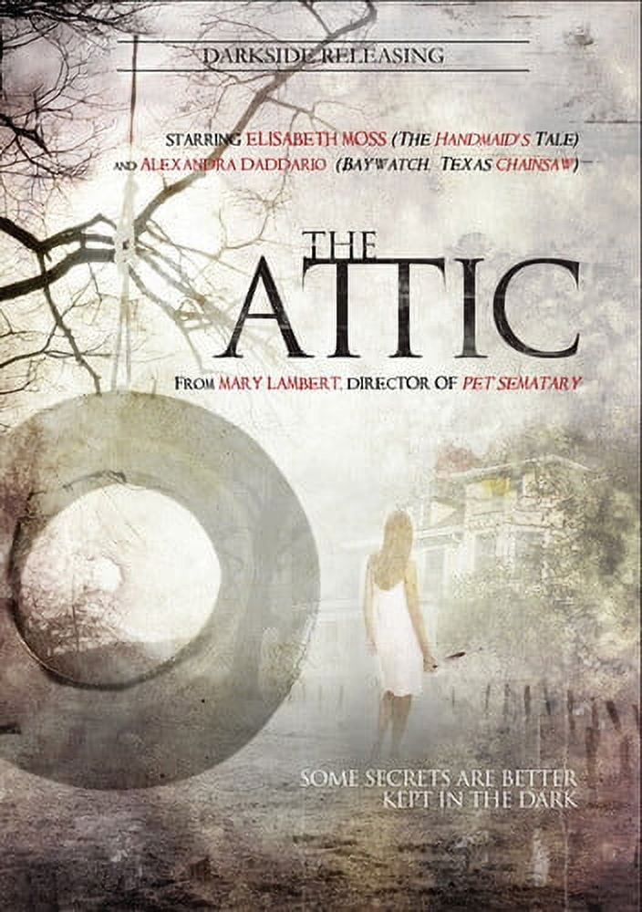 The Attic (DVD), Rising Sun Media, Horror - Walmart.com