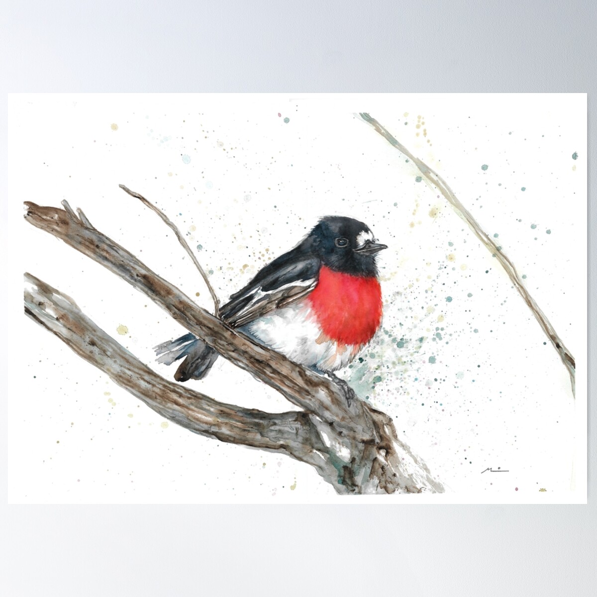 The Australian Robin Poster Wall Art, Modern Wall Decor For Living Room ...