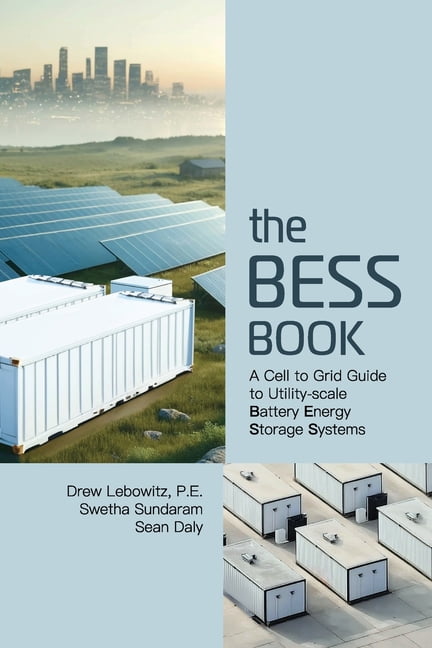 The BESS Book, (Paperback) - Walmart.com