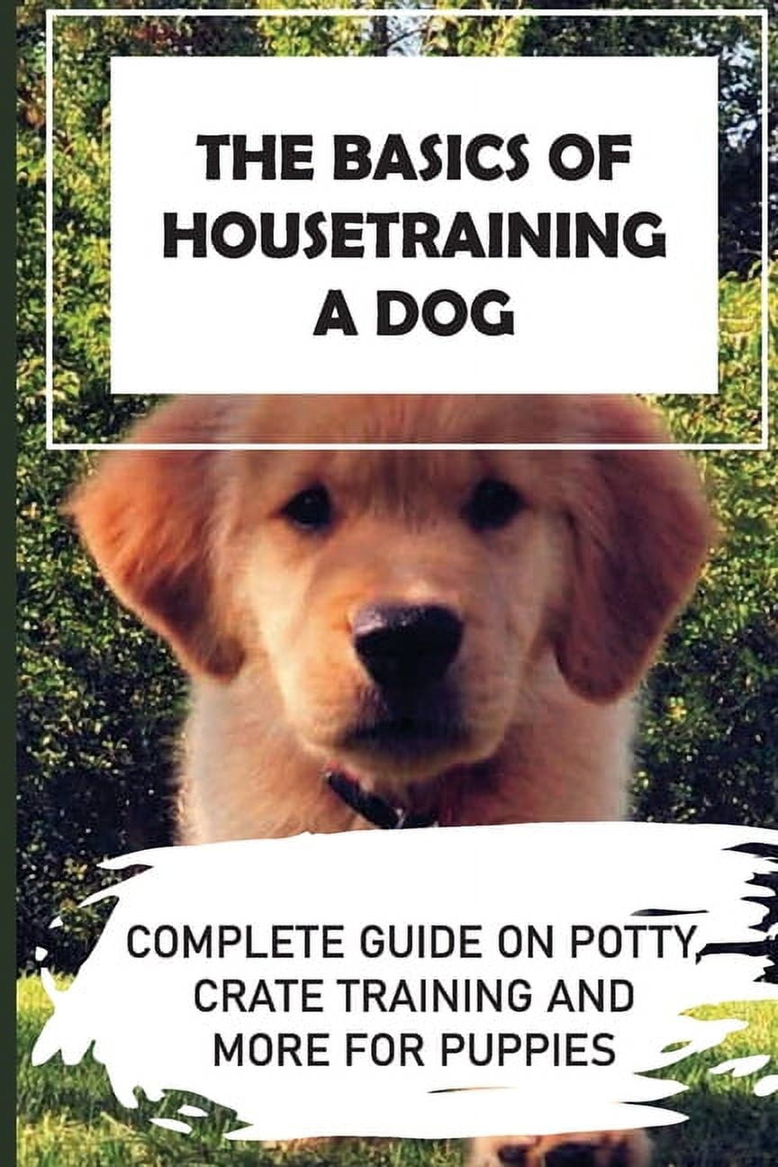 The Basics Of Housetraining A Dog: Complete Guide On Potty, Crate ...