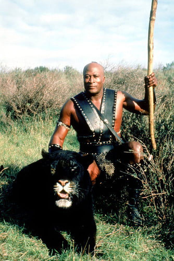 The Beastmaster John Amos 24X36 Poster - Walmart.com