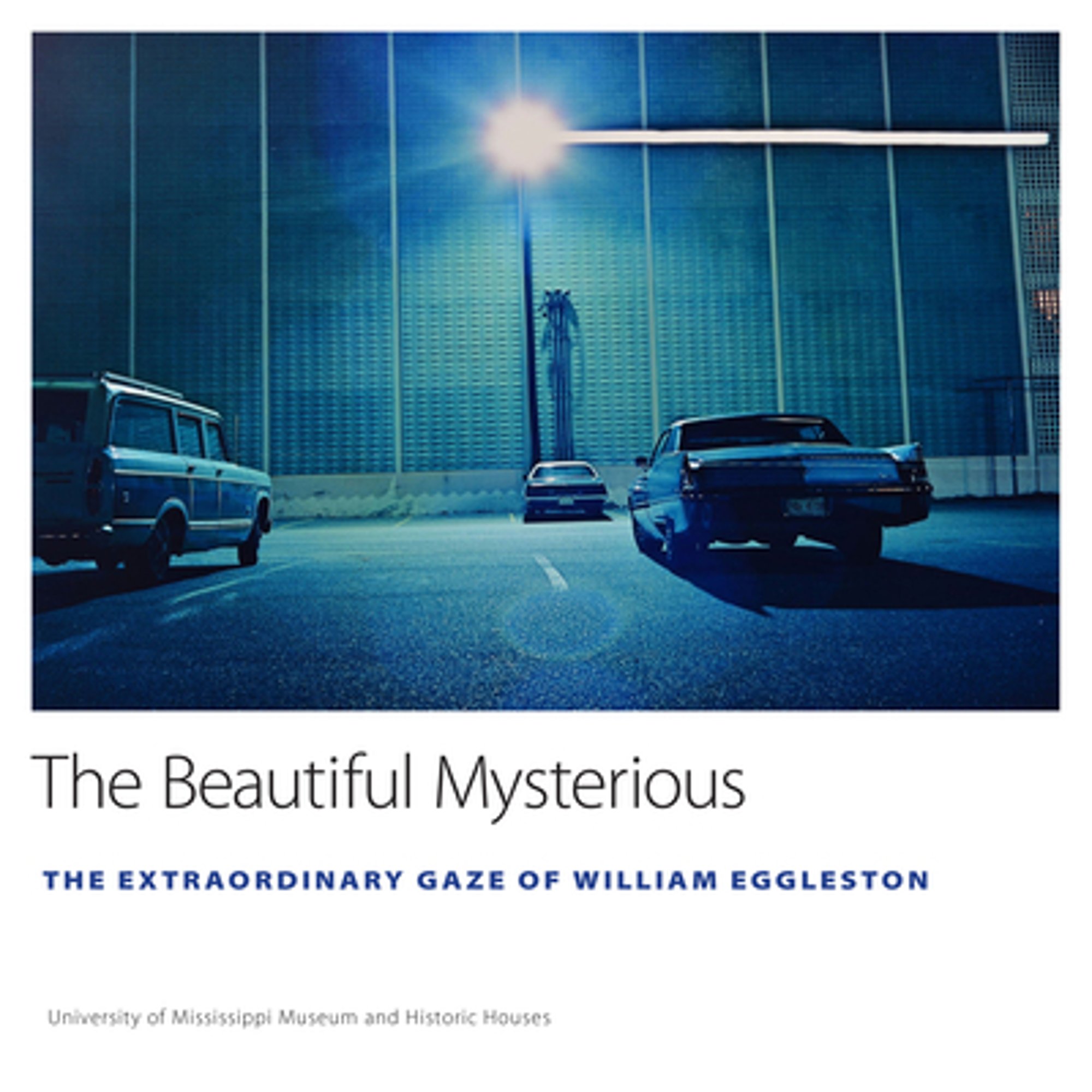 Pre-Owned The Beautiful Mysterious: The Extraordinary Gaze of William ...