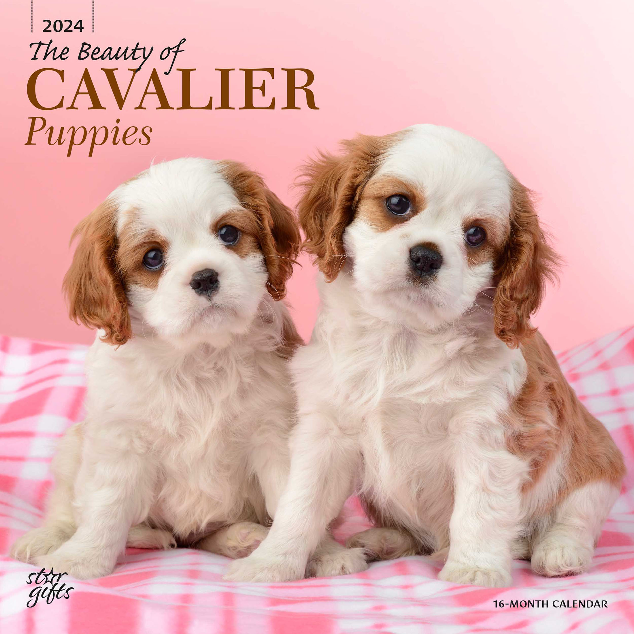The Beauty of CKC Spaniel Puppies | 2024 12x24" (Hanging) Wall Calendar ...