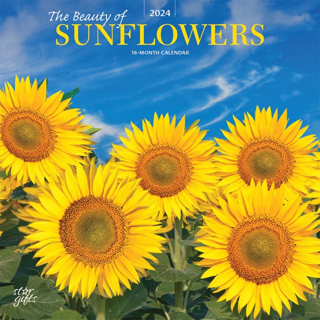 The Beauty of Sunflowers | 2024 12x24" (Hanging) Wall Calendar ...
