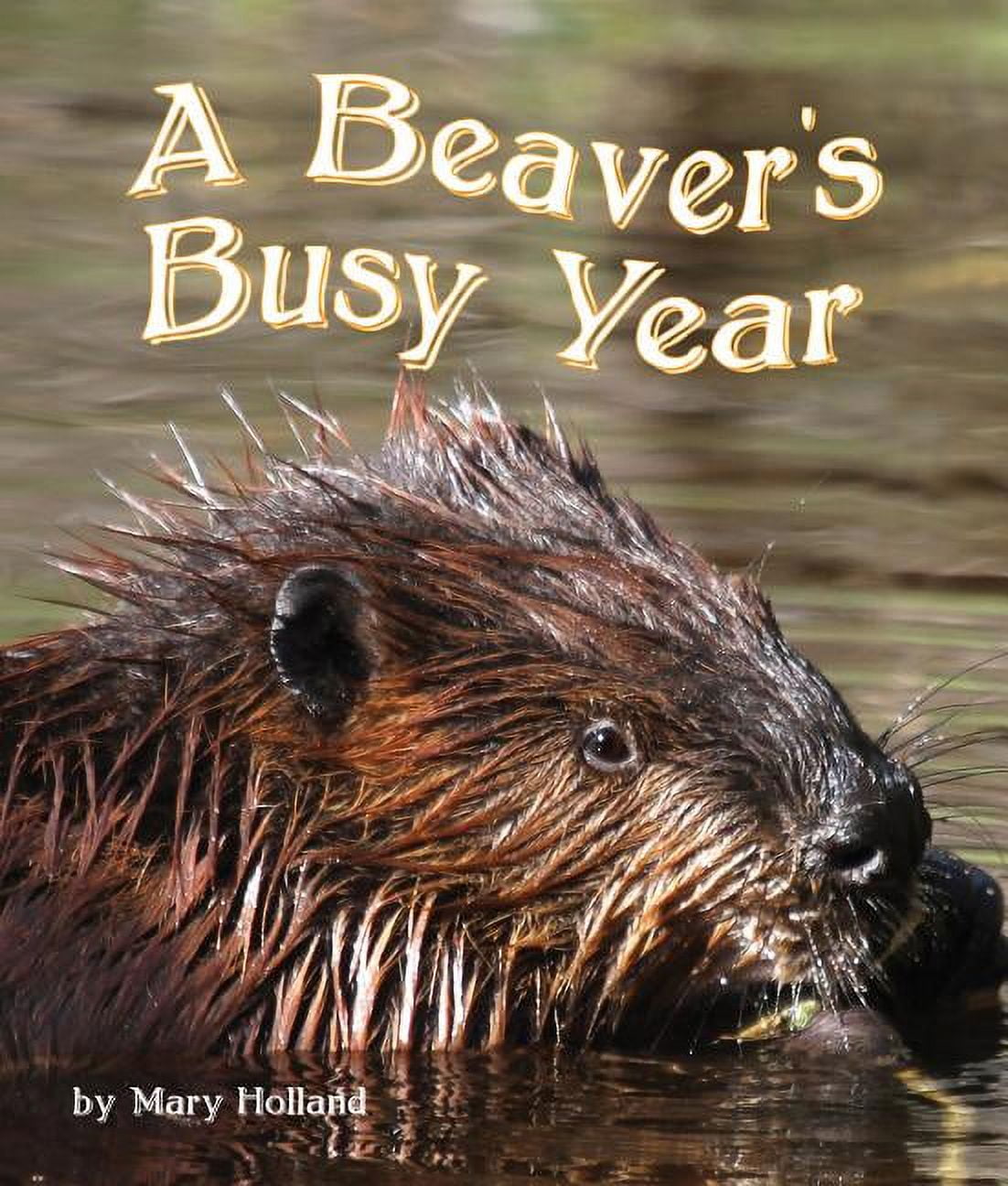 The Beavers' Busy Year (Paperback) - Walmart.com