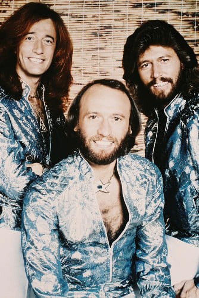 The Bee Gees Classic In Shiny Silver Suits Disco Era 24x36 Poster ...