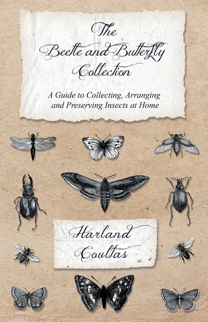 The Beetle and Butterfly Collection - A Guide to Collecting, Arranging ...