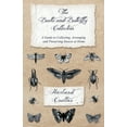 The Beetle and Butterfly Collection - A Guide to Collecting, Arranging ...