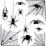 The Beistle Company Spider & Spider Web Silhouette Wall Sticker ...