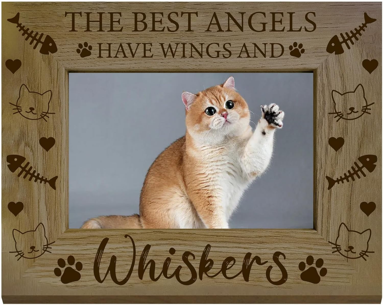 The Best Angels Have Wings and Whiskers Picture Frame Wooden Photo ...