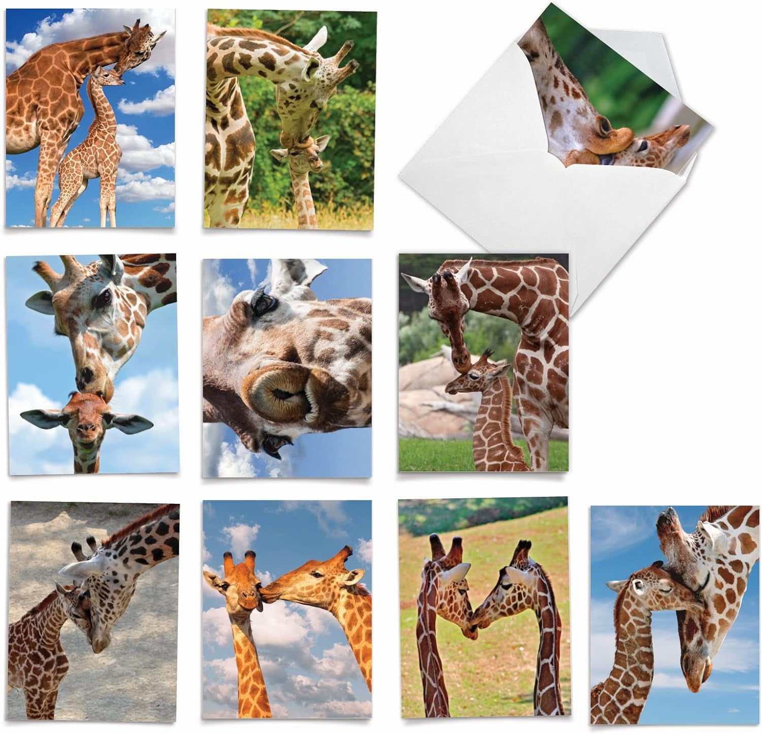 The Best Card Company - 10 Adorable Note Cards Blank (4 x 5.12 Inch ...