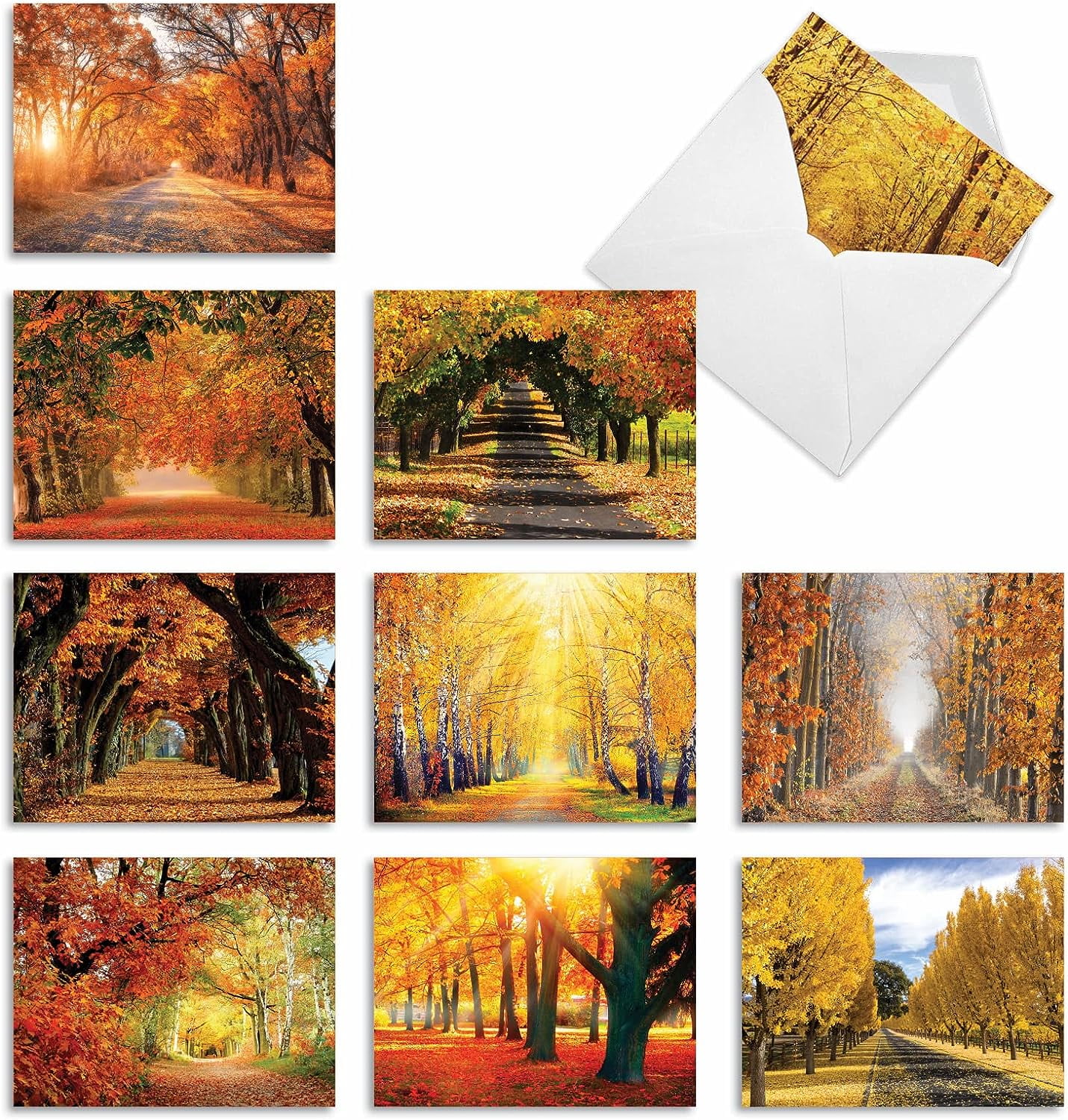 The Best Card Company - 10 Beautiful Note Cards Blank (4 x 5.12 Inch ...