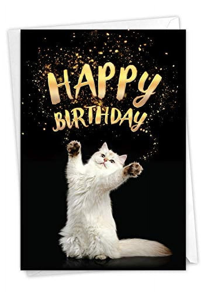 The Best Card Company C6112ABPG Cat Sent Happy Birthday Appreciation ...
