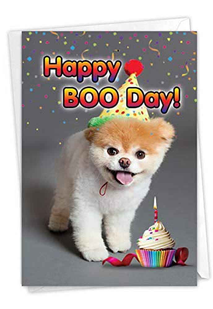 Boo The Dog Happy Birthday