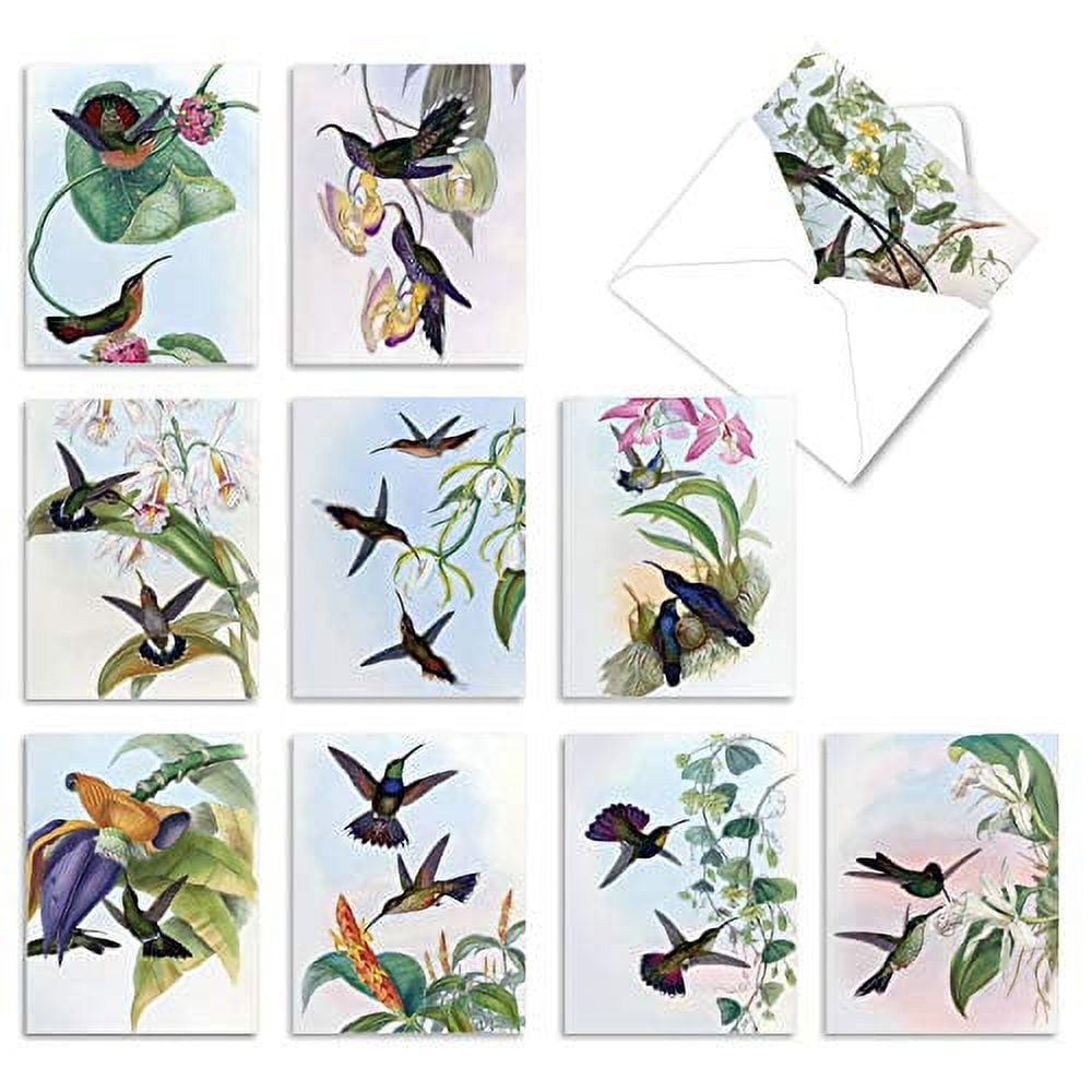 The Best Card Company Watercolor Hummingbird Note Cards, Assorted ...
